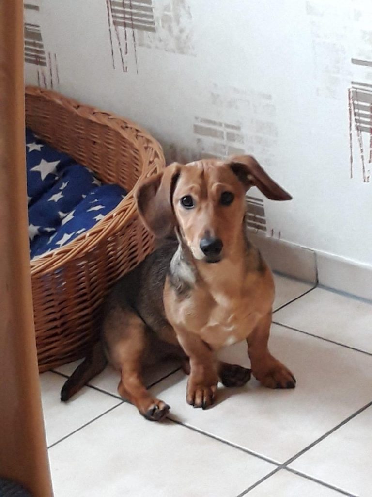 SnoLex – alle ausgeflogen – naja fast alle – Lexi´s Welt